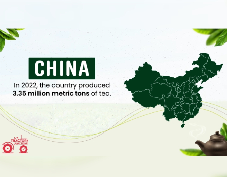 Top 10 Largest Tea Producing Countries in the World | History of Ceylon Tea