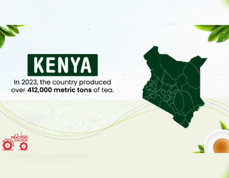 Top 10 Largest Tea Producing Countries in the World | History of Ceylon Tea