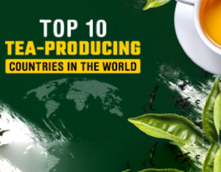 Top 10 Largest Tea Producing Countries in the World | History of Ceylon Tea