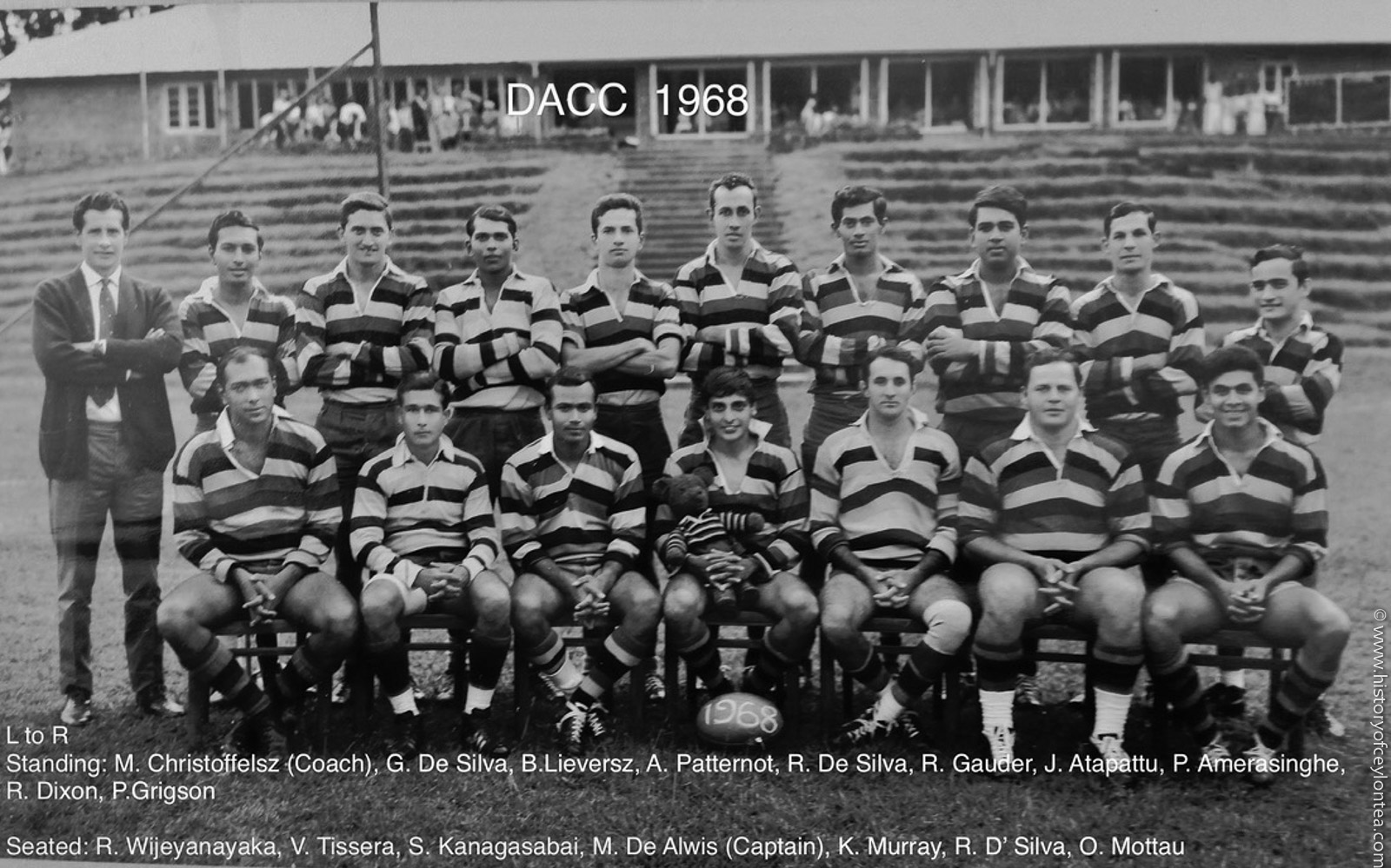 Photos & Videos | History of Ceylon Tea