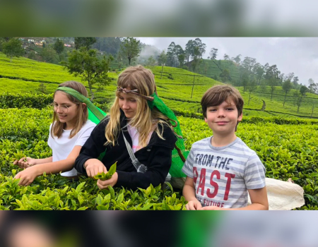 Tea in Sri Lanka: A Journey Through the Island’s Rich Tea Culture ...