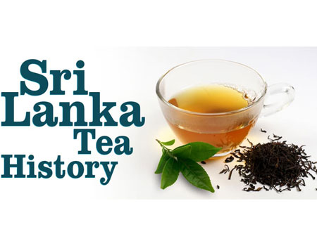 Sri Lanka Tea History | History of Ceylon Tea