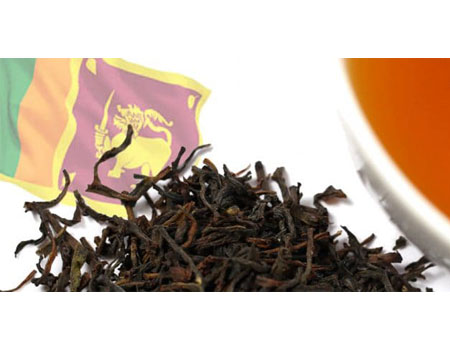 Sri Lanka Tea History | History of Ceylon Tea