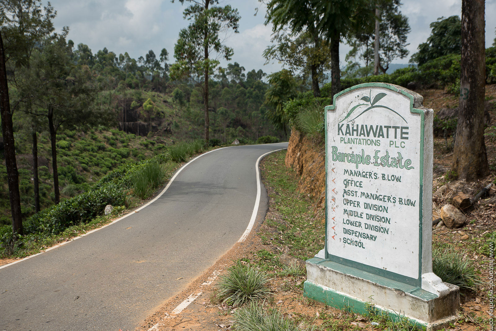 Barcaple | History of Ceylon Tea