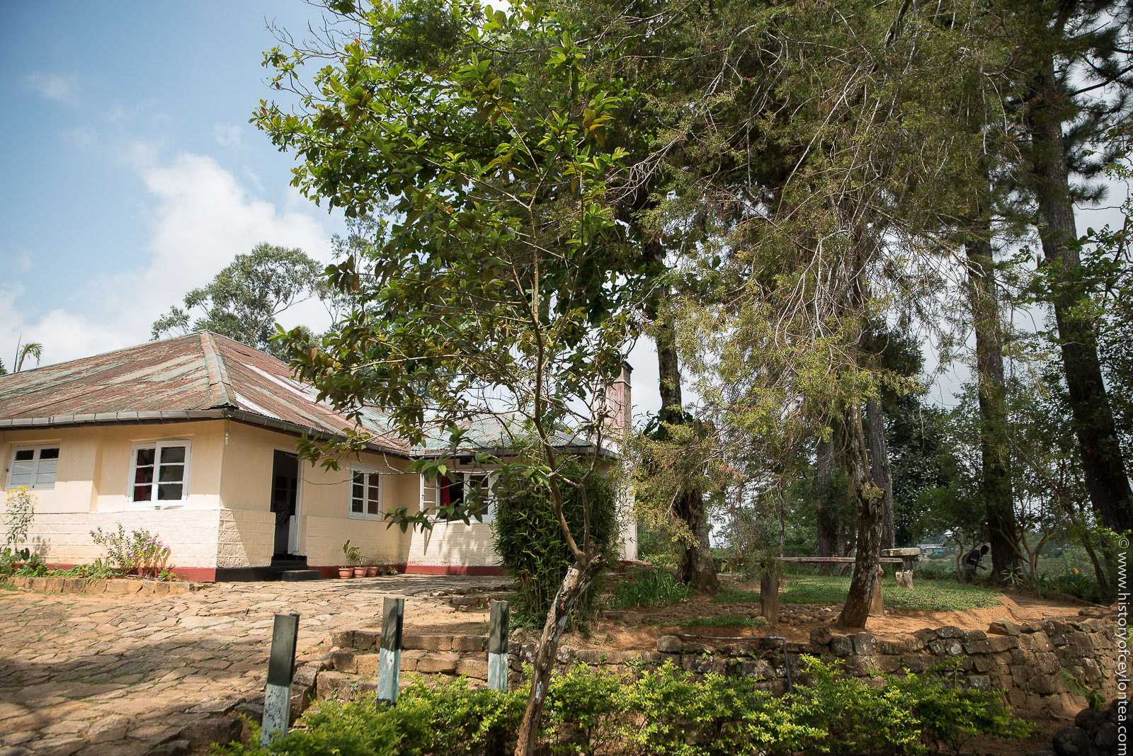 Barcaple | History of Ceylon Tea