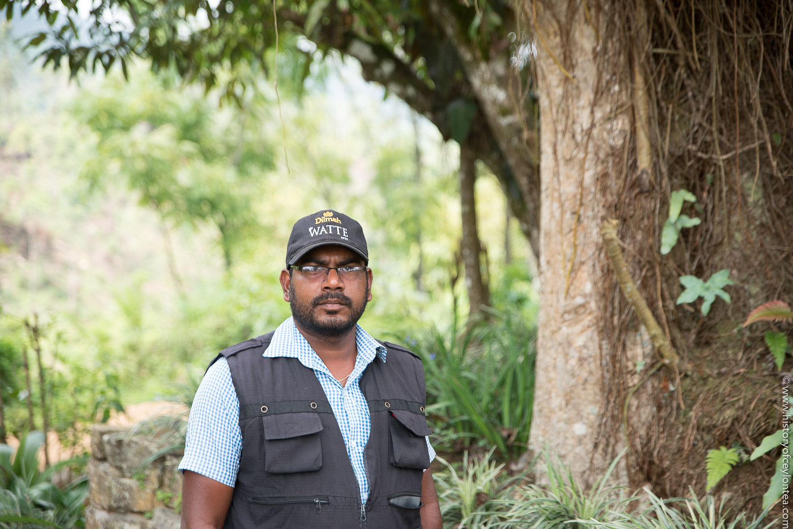 Barcaple | History of Ceylon Tea