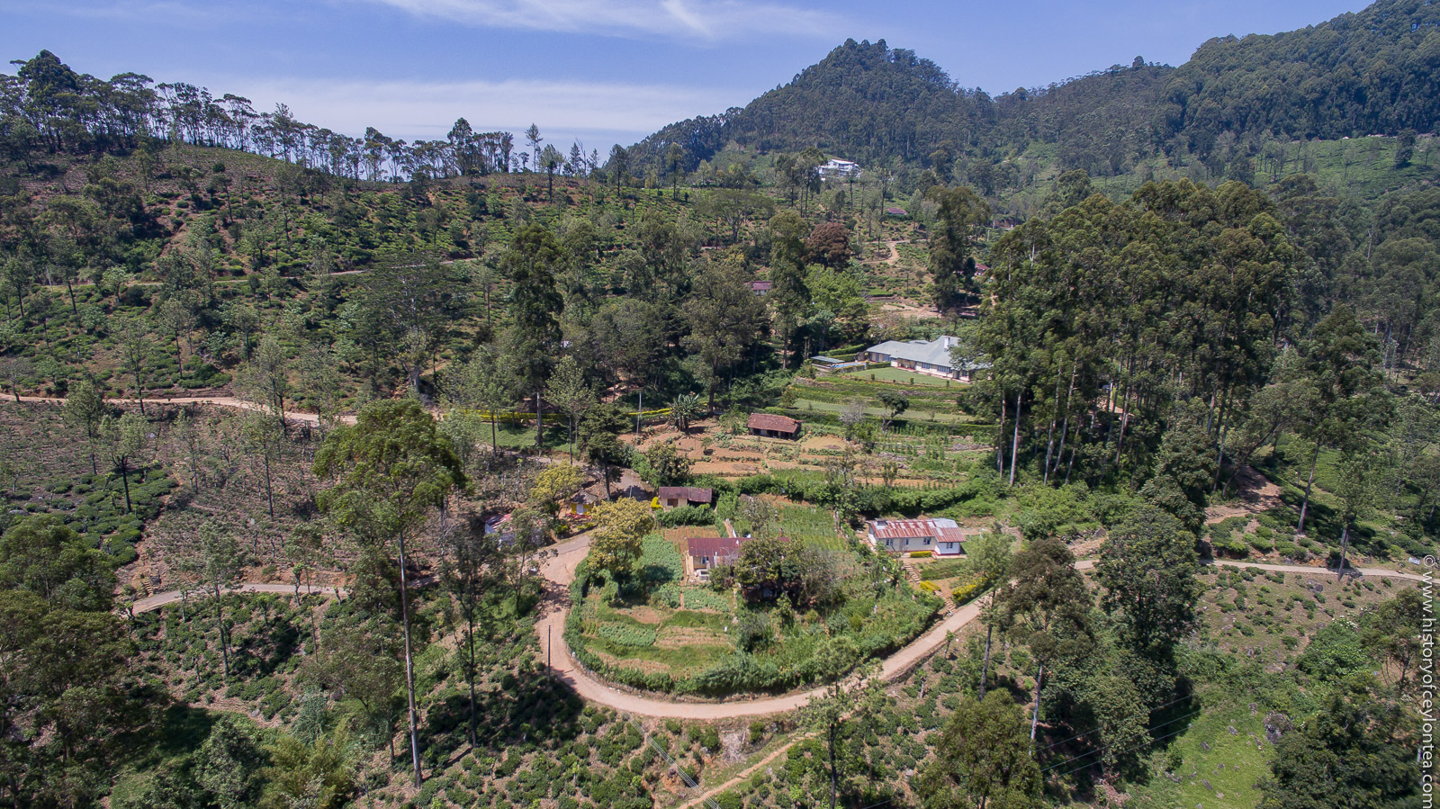 Gampaha | History of Ceylon Tea