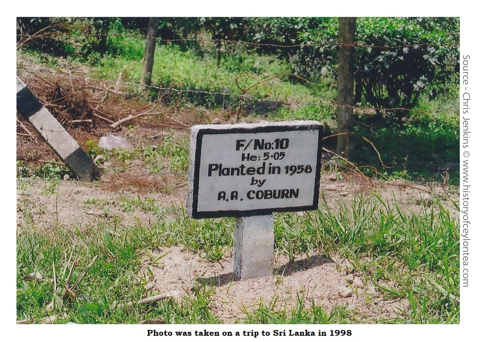 Photos & Videos | History of Ceylon Tea