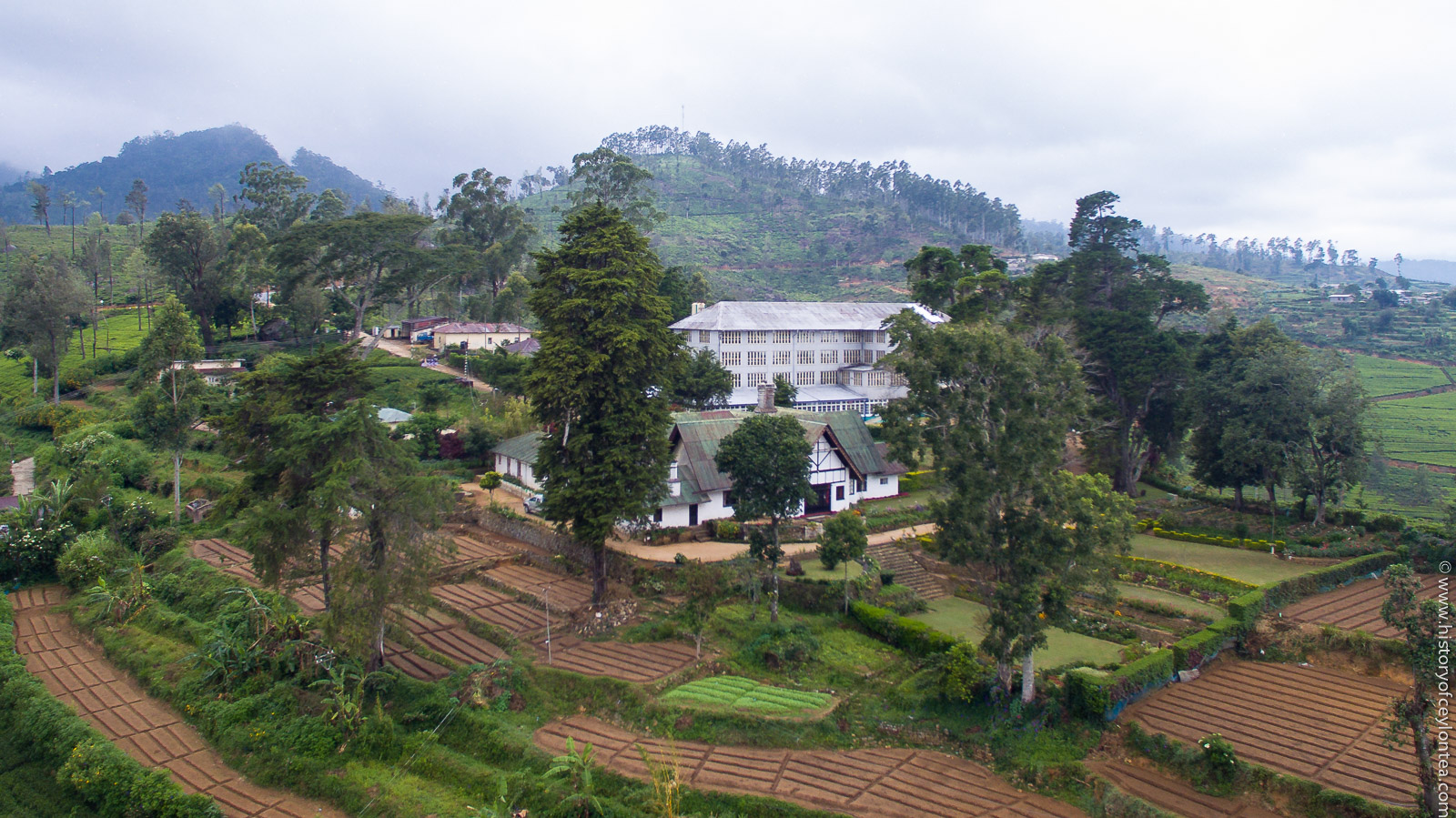 Photos & Videos | History of Ceylon Tea