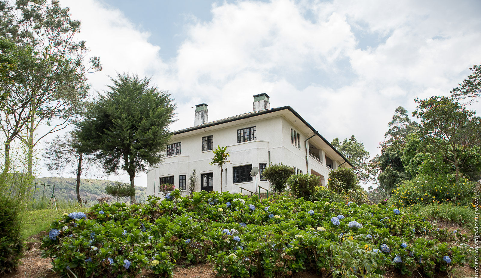 Photos & Videos | History of Ceylon Tea