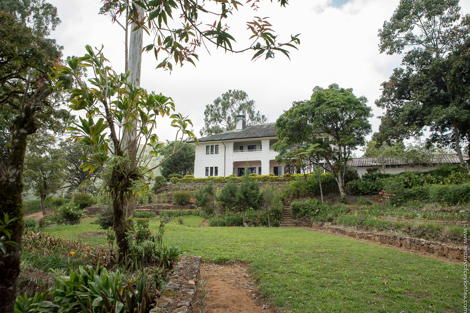 Photos & Videos | History of Ceylon Tea