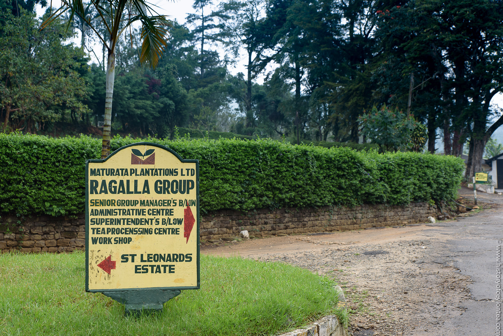 Photos & Videos | History of Ceylon Tea