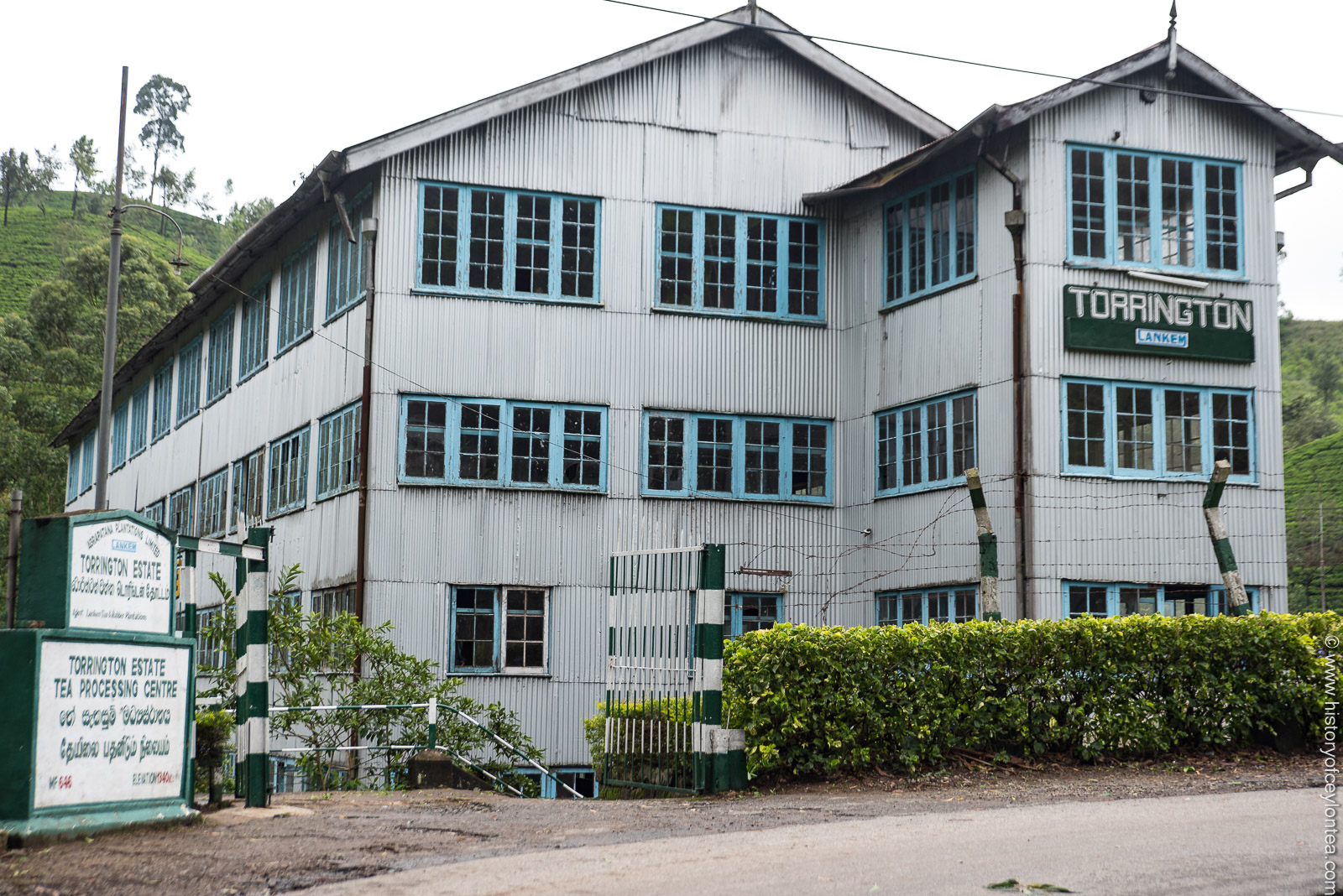 Torrington | History of Ceylon Tea