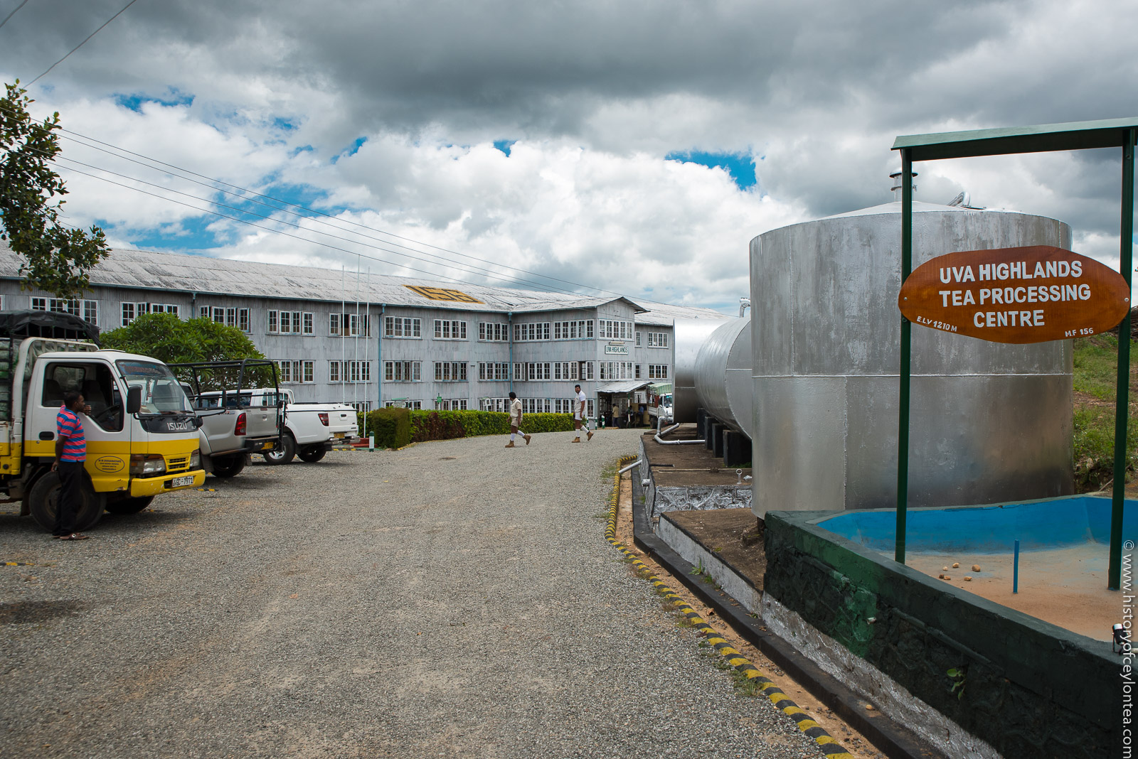 Photos & Videos | History of Ceylon Tea